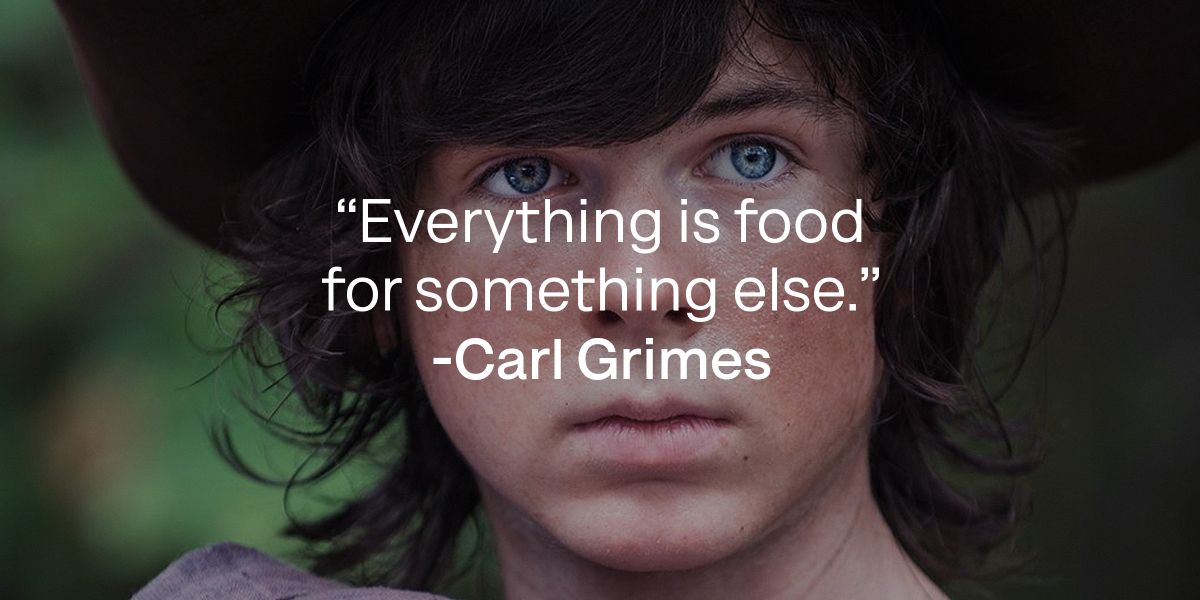 35 Carl Grimes Quotes: His Journey from Timid to Tough