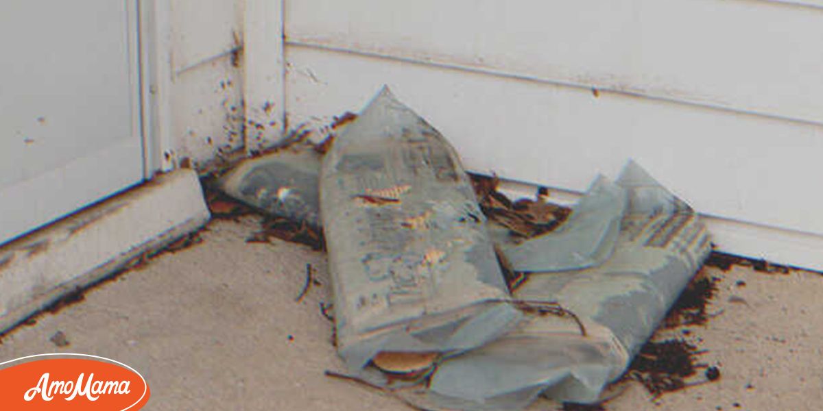 Neighbor Brings Newspaper To Old Lady's Doorstep Daily Until One Day He ...