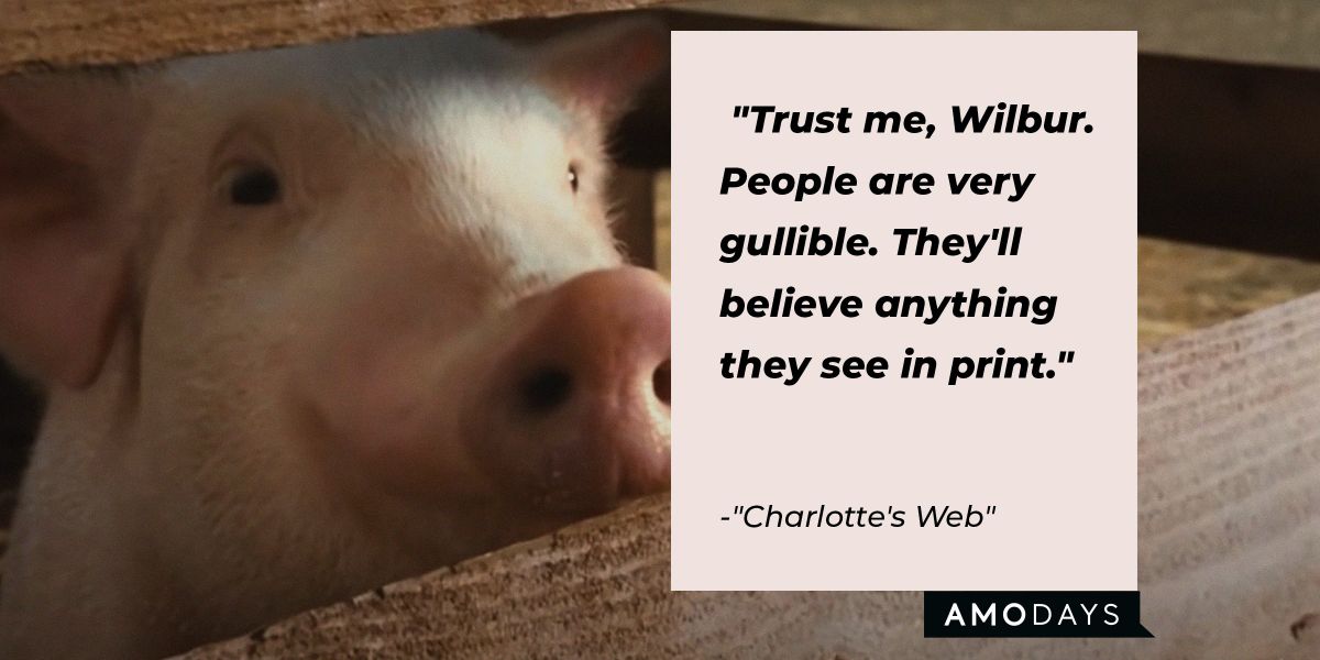 34 Charlotte’s Web Quotes from the Story That Never Gets Old