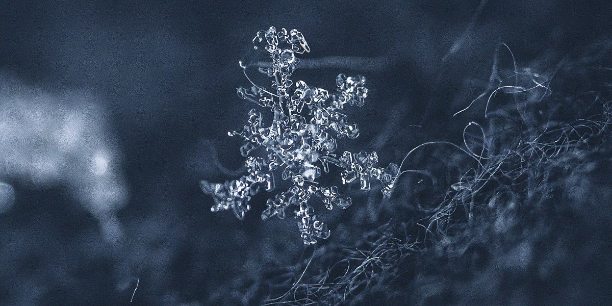 57 Snowflake Quotes That Speak of Beauty, Wisdom, and Originality