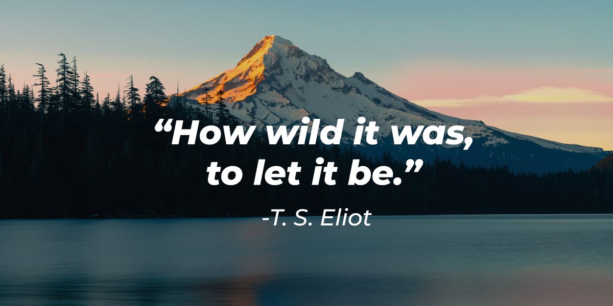 53 Let It Be Quotes to Charge You up with Positive Philosophy